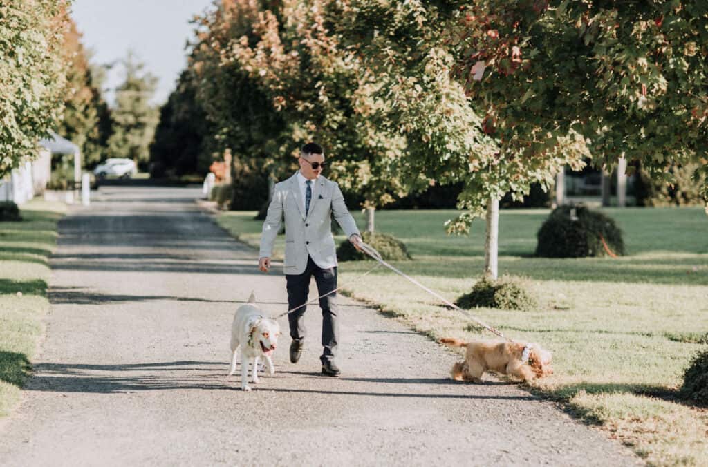 How to Perform a Wedding Ceremony with Pets as The Officiant